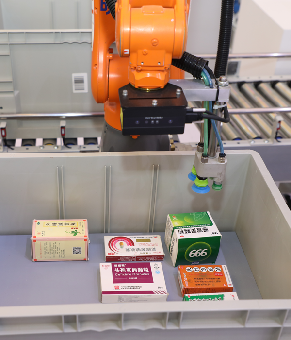 Visual Picking Robot Palletizer Warehouse Picking Systems | Megvii ...